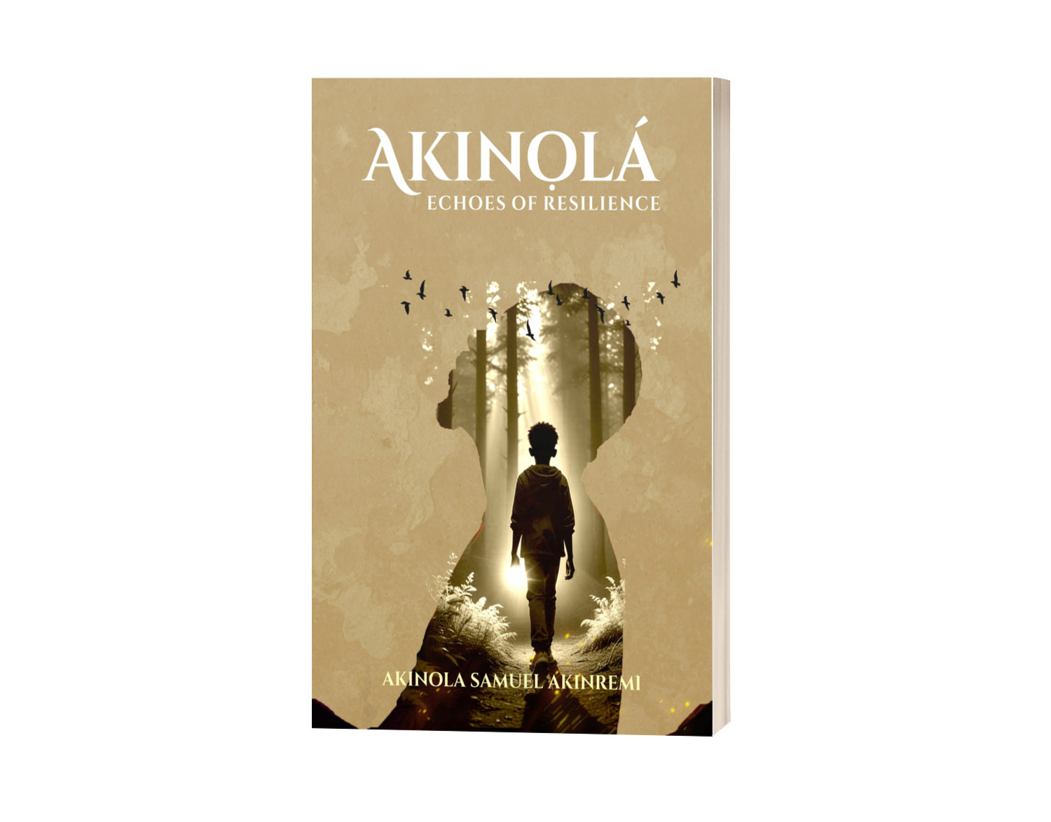 Buy AKINOLA: Echoes of Resilience by Akinola Samuel Akinremi on Selar