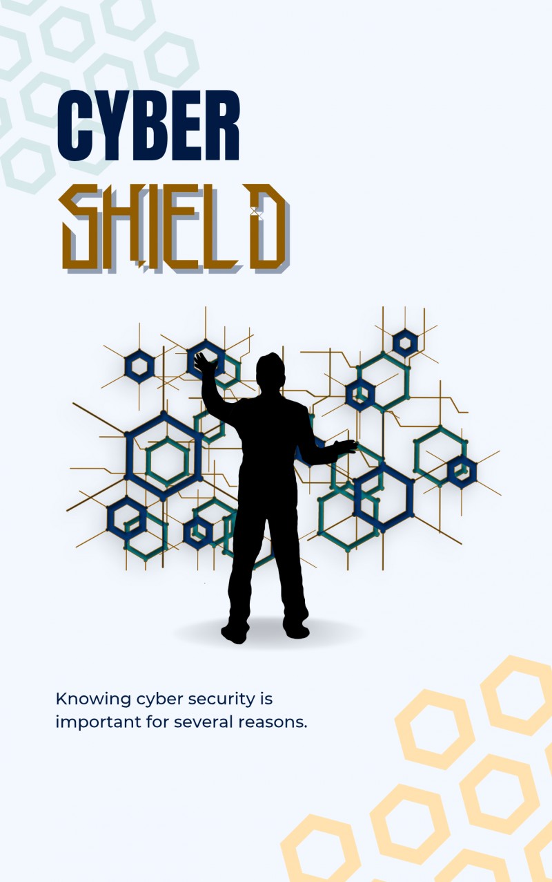 Buy Cyber Shield: Protecting the Digital World by Akintola sidiqoh on Selar