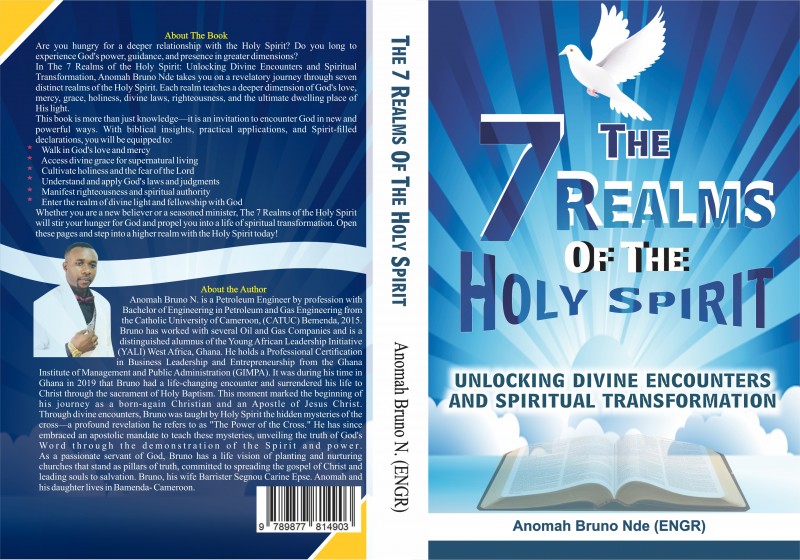 Buy THE 7 REALMS OF THE HOLY SPIRIT: Unlocking Divine Encounters And ...