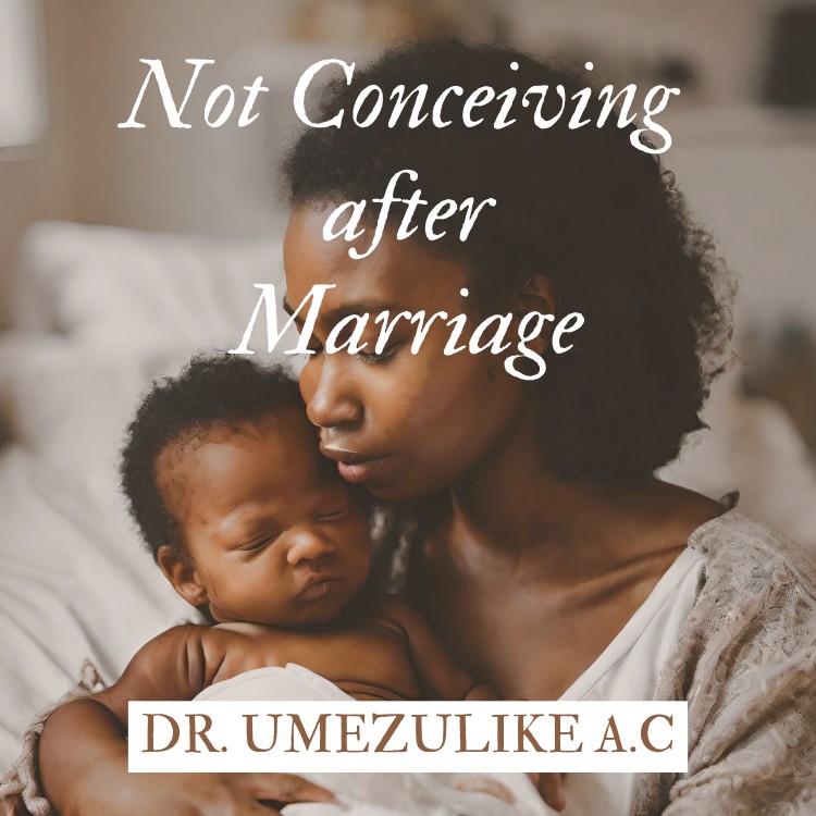 Buy Not Conceiving after Marriage by Augustine Umezulike on Selar