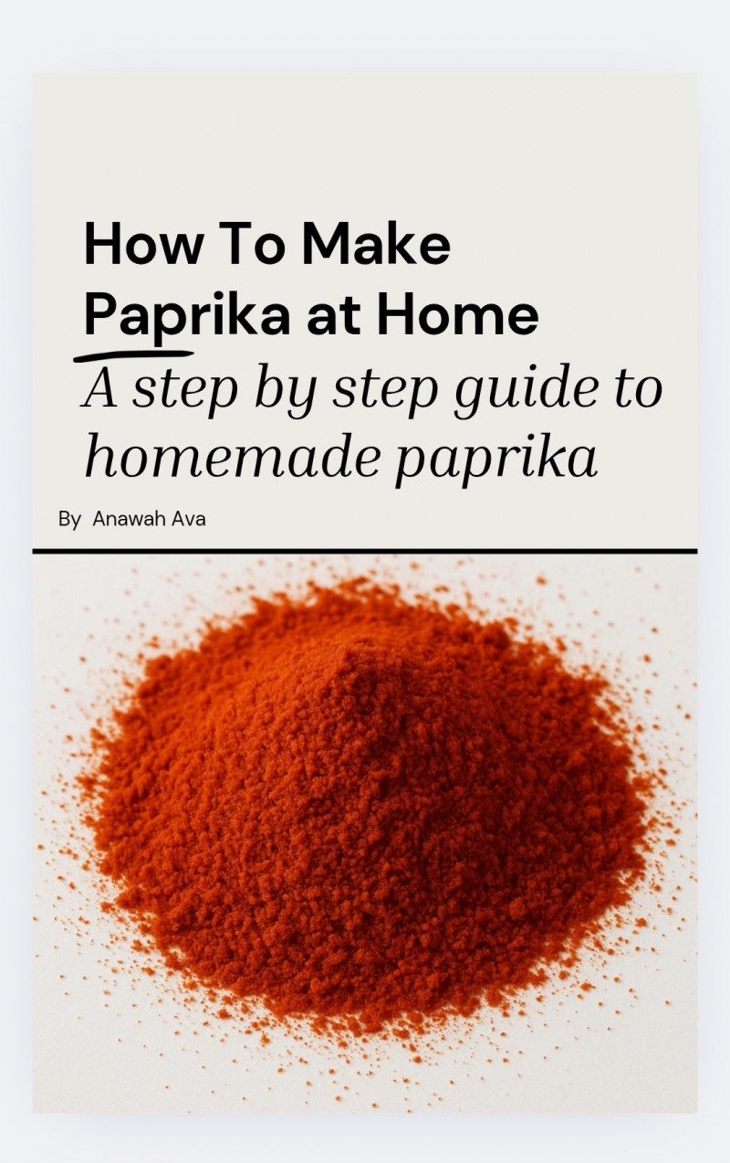 Buy How to Make Paprika at Home by Ava Anawah on Selar