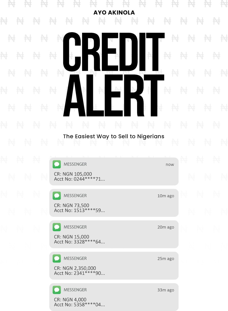 Buy Credit Alert (E-book) by Ayo Akinola on Selar
