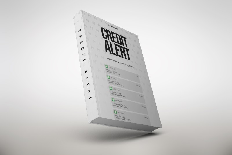 Buy Credit Alert Paperback (Nigeria Only) by Ayo Akinola on Selar