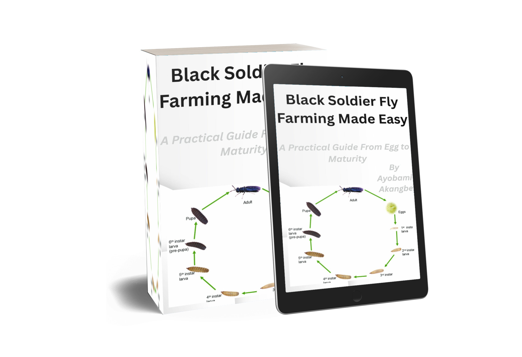 Buy Black Soldier Fly Farming Made Easy: A Practical Guide From Egg to ...