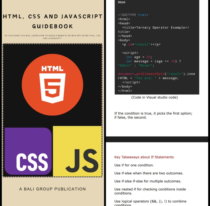 Buy HTML, CSS and Javascript Beginners Guidebook (Ebook) by Bali Tutorials on Selar