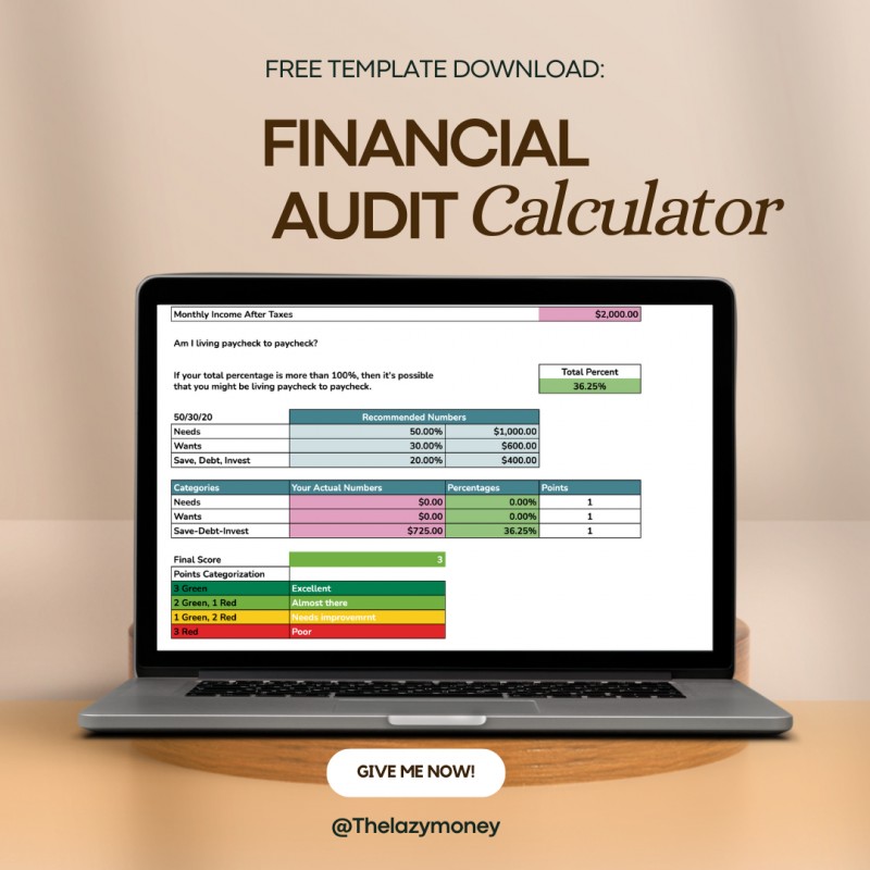 Get Financial Audit Calculator by Blessing Tyler on Selar