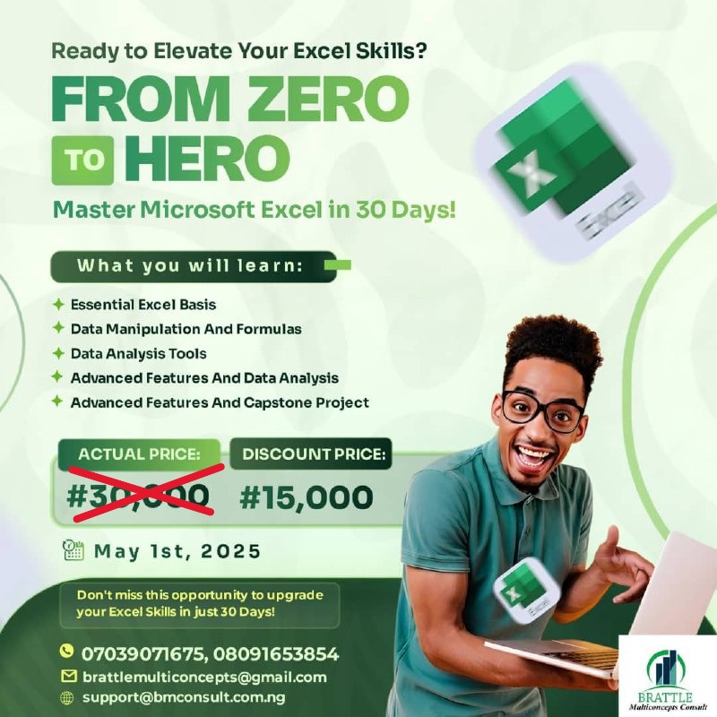 Buy ZERO TO HERO EXCEL - 30 DAYS by Brattle Multiconcepts Consults on Selar