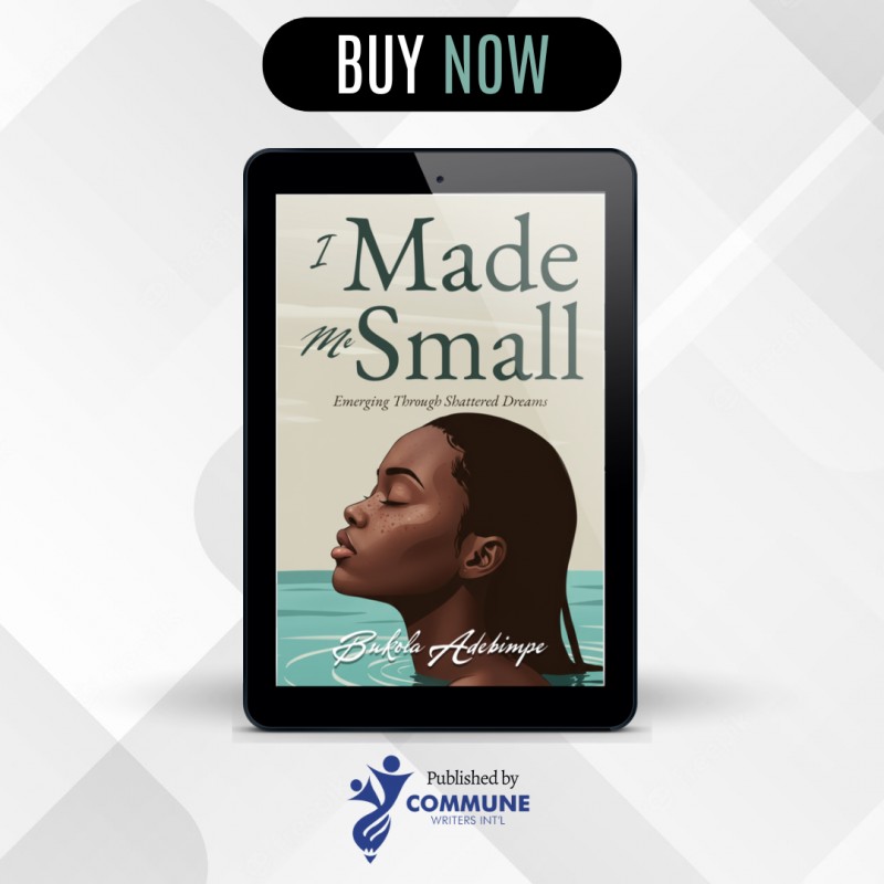 Buy I Made Me Small (ebook) by Bukola Adebimpe on Selar