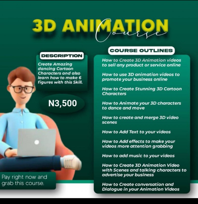 Buy 3D ANIMATION COURSE by Chinedu Nelson on Selar