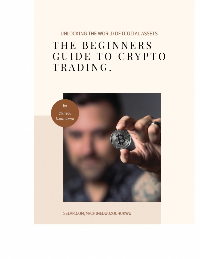 Buy Beginners Guide to Crypto by Chinedu Uzochukwu on Selar