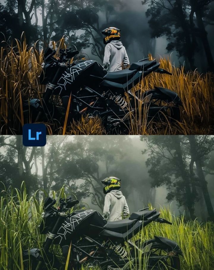 Buy 10 in 1 LR PROFESSIONAL PRESETS by Chisent Collins on Selar