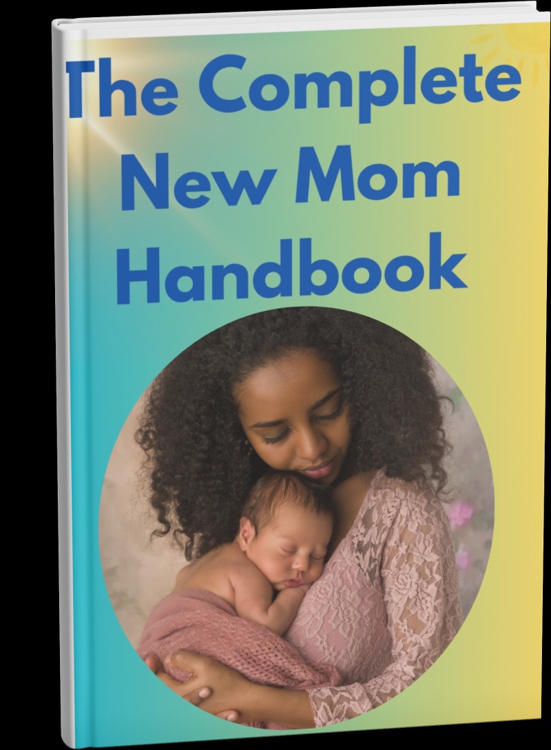 Buy The Complete New Mom Handbook by SHUGA BABYS WORLD on Selar