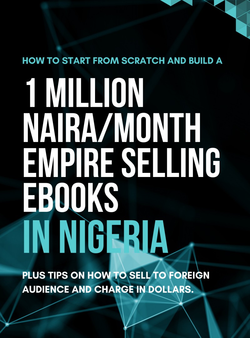 Buy HOW TO START FROM SCRATCH AND BUILD A 1 MILLION NAIRA/MONTH EMPIRE SELLING EBOOKS IN NIGERIA ...