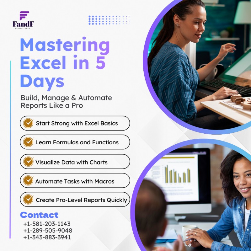 Buy Mastering Excel In 5 Days by Dr Fin on Selar