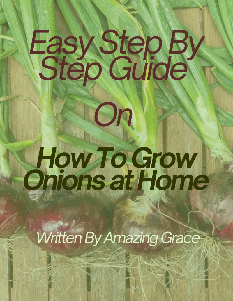 Buy Easy Step by Step Guide on How to Grow Onions at Home by Ekeoma Onuoha on Selar