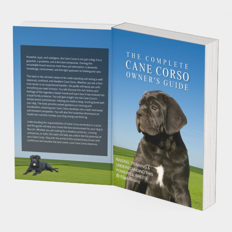 Buy The Complete Cane Corso Owner's Guide – Raising, Training, and ...