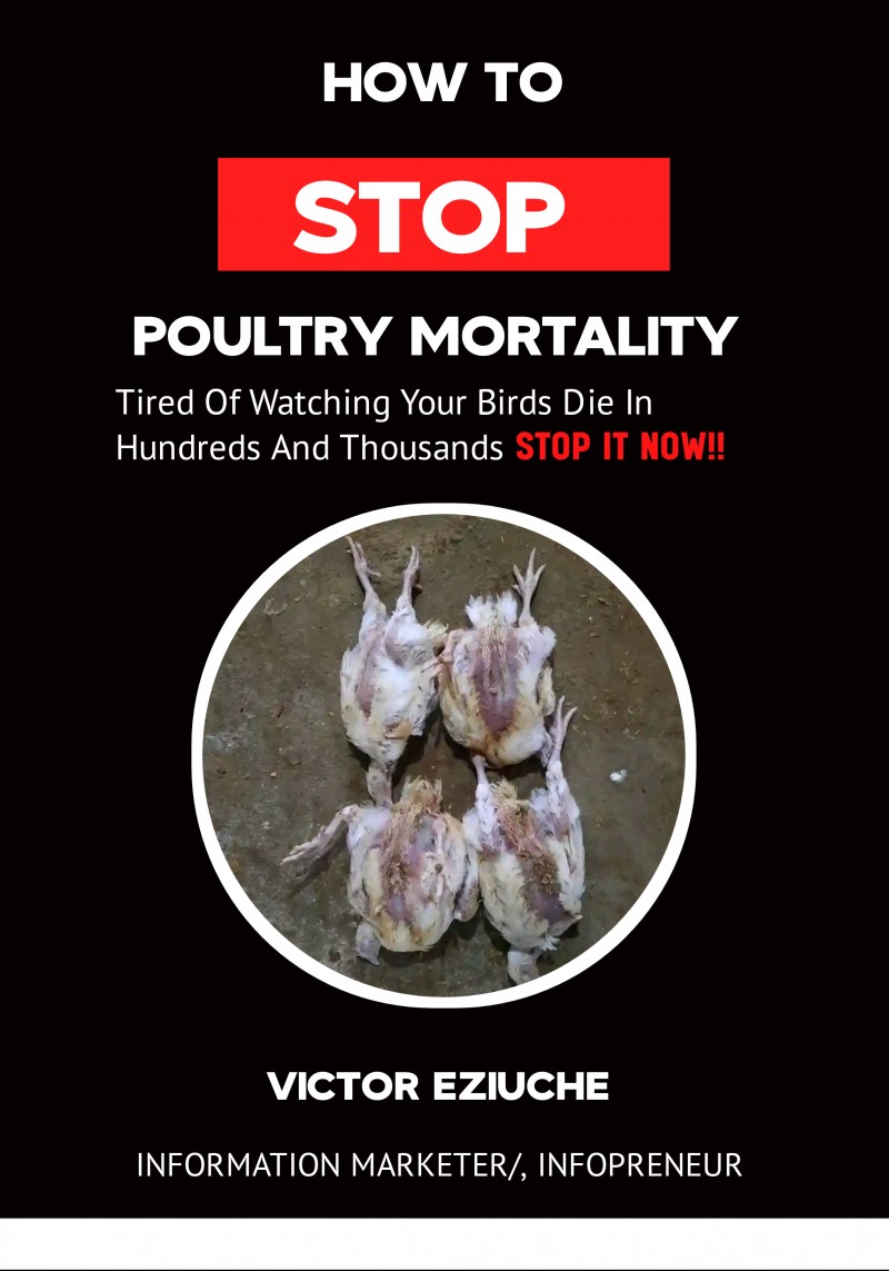 Buy How To Stop Poultry Mortality(EBOOK) by Erudite Digitalz on Selar