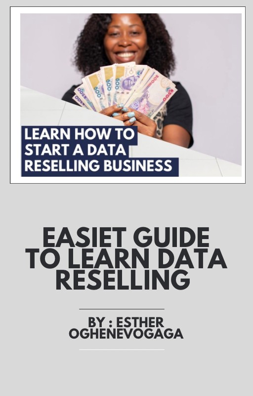 Buy EASIEST GUIDE TO LEARN DATA RESELLING by Esther James on Selar