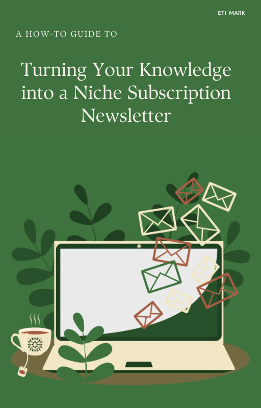 Buy Turning Your Knowledge into a Niche Subscription Newsletter by 80ty Pages on Selar