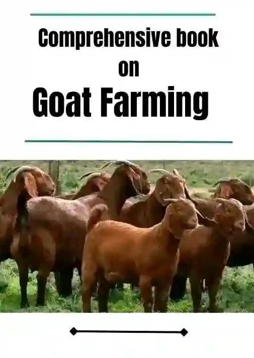 Buy COMPREHENSIVE BOOK ON GOAT FARMING by Nzambani Agrifarms on Selar