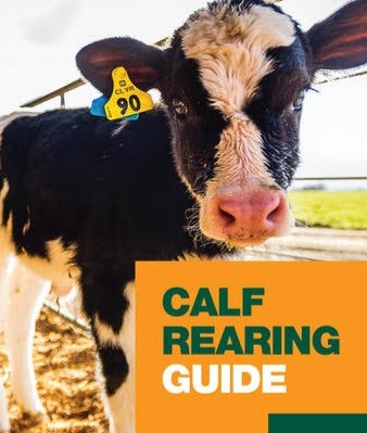 Buy THE ULTIMATE GUIDE TO CALF MANAGEMENT AND FEEDING:BOOSTING GROWTH ...