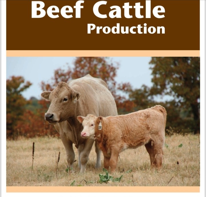 Buy THE ULTIMATE GUIDE TO PROFITABLE BEEF CATTLE FARMING. by Nzambani ...