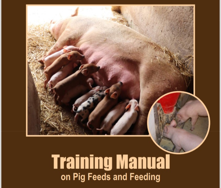Buy TRAINING MANUAL ON PIG FARMING AND PIG FEEDING. by Nzambani ...