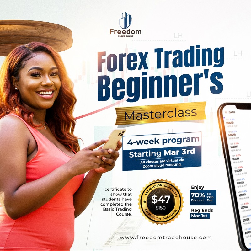 Buy FOREX BEGINNERS MASTERCLASS | FEB/MAR SESSION by Freedom Tradehouse ...