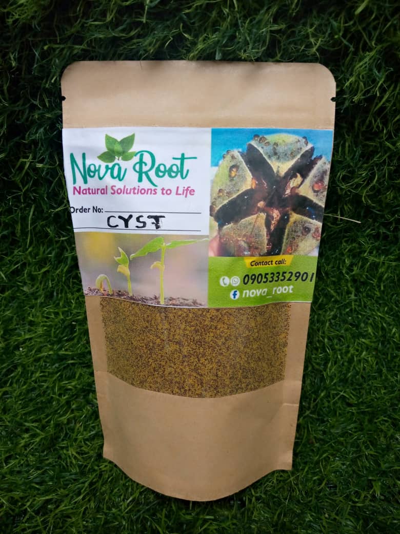 Buy Cyst Remover Pack by Nova Root Fertility on Selar
