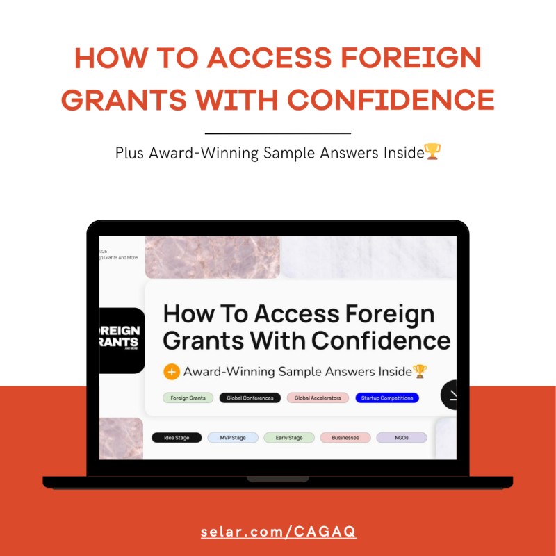 Buy How To Access Foreign Grants With Confidence (+ FREE Database ...