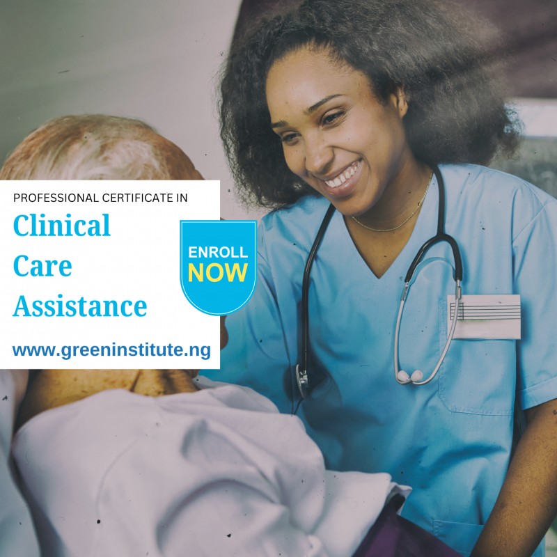 Buy APPLICATION FEE: Clinical Care Assistance by The Green Institute on ...