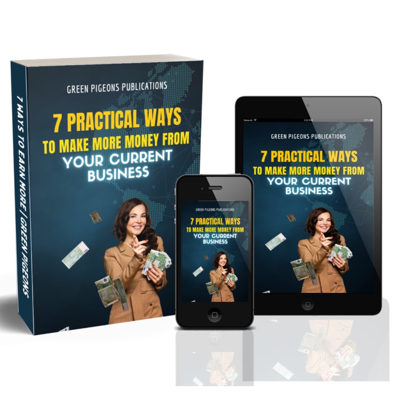 Buy 7 PRACTICAL WAYS TO MAKE MORE MONEY FROM YOUR CURRENT BUSINESS by ...