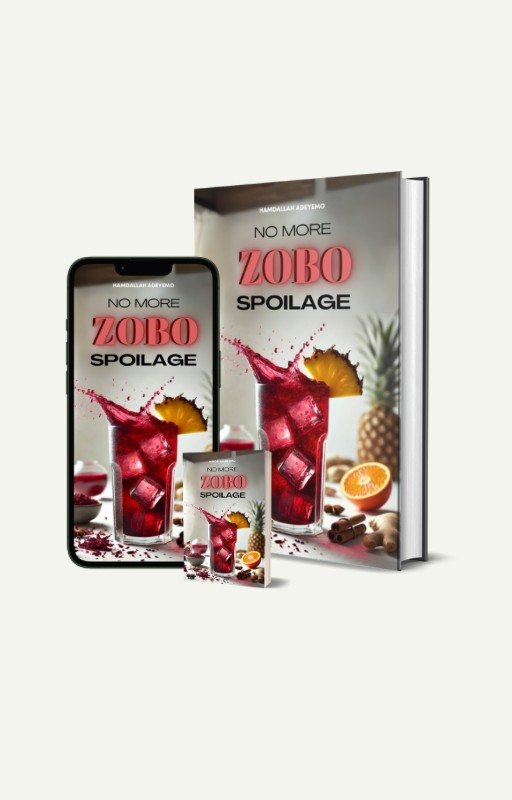 Buy No More Zobo Spoilage by Hamdallah Olumoye - Adeyemo on Selar