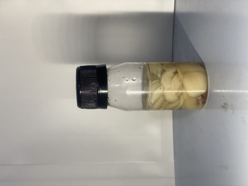 Buy Python fat/oil by HERBS AND HEALTH on Selar