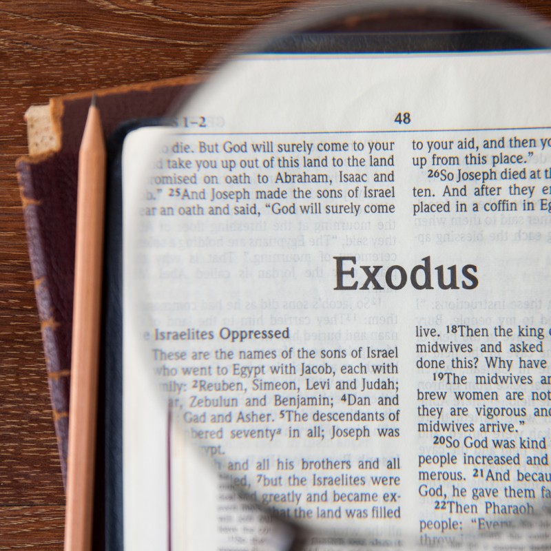 Get INTRODUCTION TO THE BOOK OF EXODUS by icomm.CLASSROOM on Selar