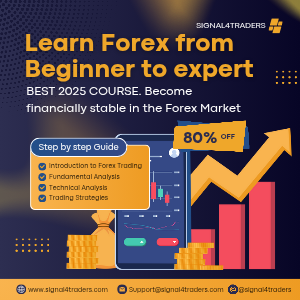 Buy Learn Forex Trading from Beginner to expert 2025 by Isah Bala faruk ...