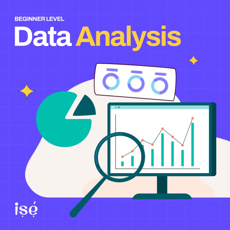 Buy Data Analysis Beginner Level by ise School on Selar