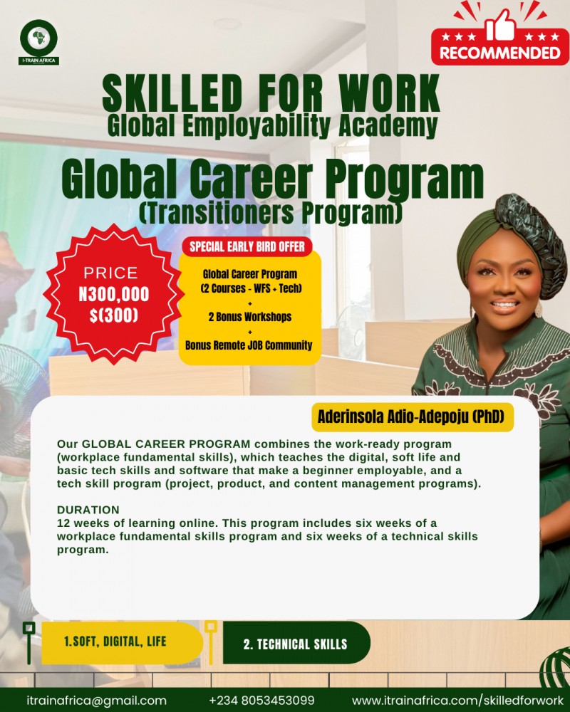 Buy Global Career Program by Aderinsola Adio-Adepoju on Selar