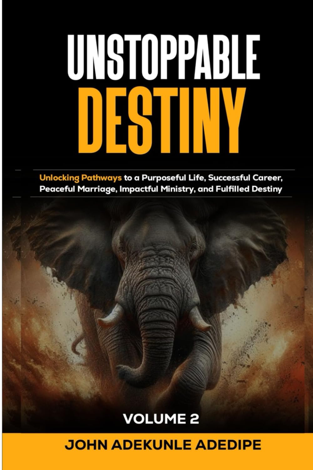 Buy UNSTOPPABLE DESTINY Volume 2: Unlocking your Pathways to a ...