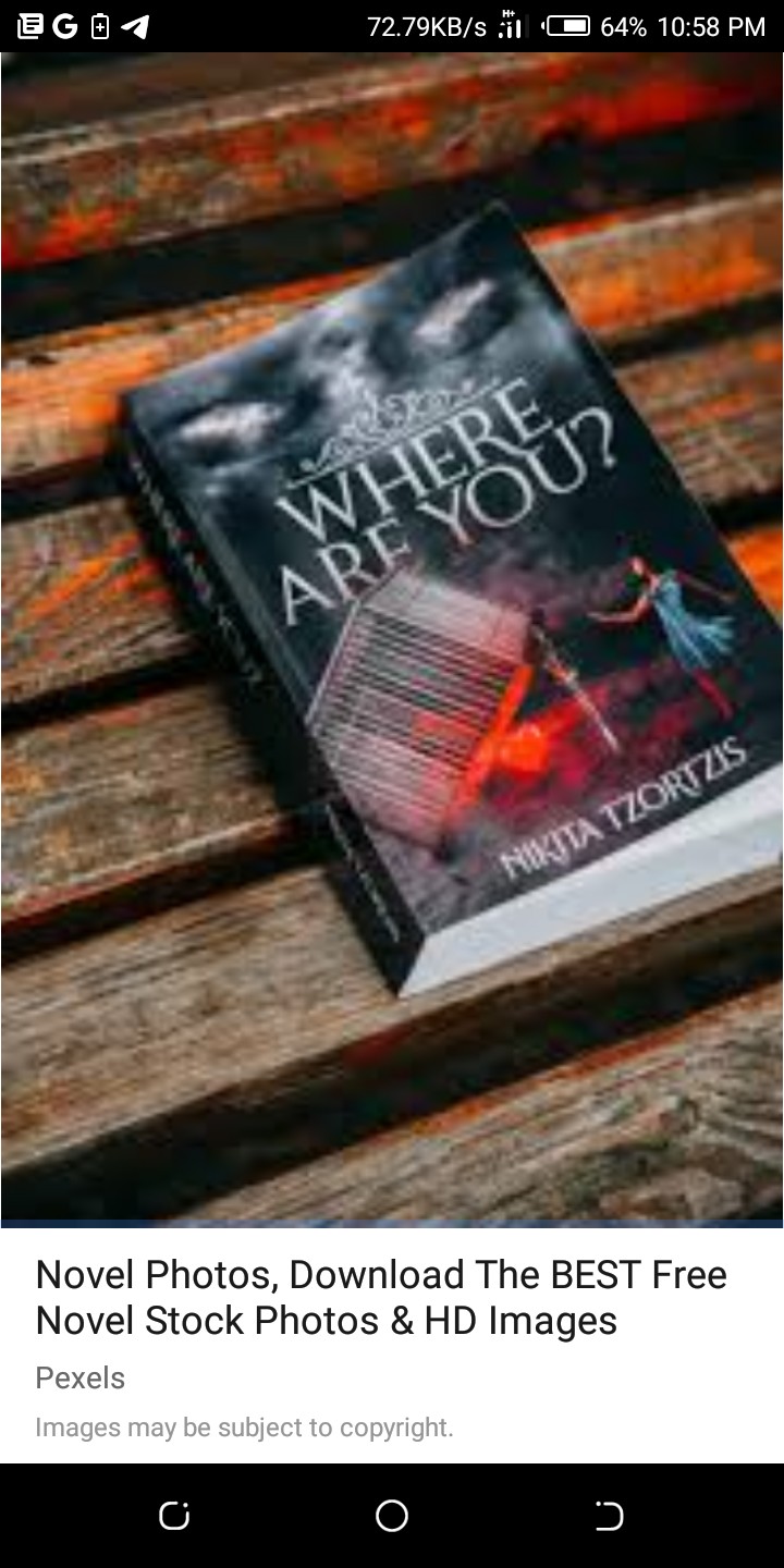 Buy Novel by Johnpeter Peter on Selar