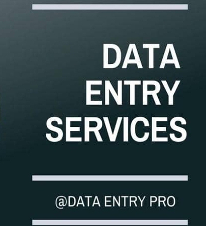 Buy Ladies In Tech Data Entry by Ladies In tech on Selar