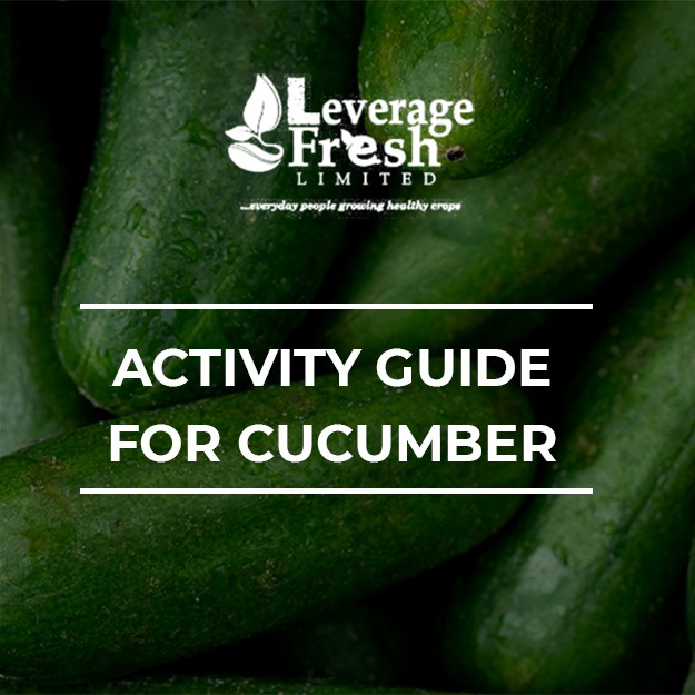 Buy ACTIVITY GUIDE FOR CUCUMBER by Leverage Fresh on Selar