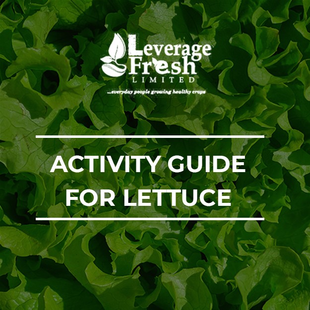 Buy ACTIVITY GUIDE FOR LETTUCE by Leverage Fresh on Selar