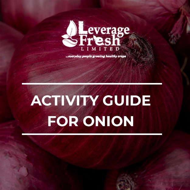 Buy ACTIVITY GUIDE FOR ONION by Leverage Fresh on Selar