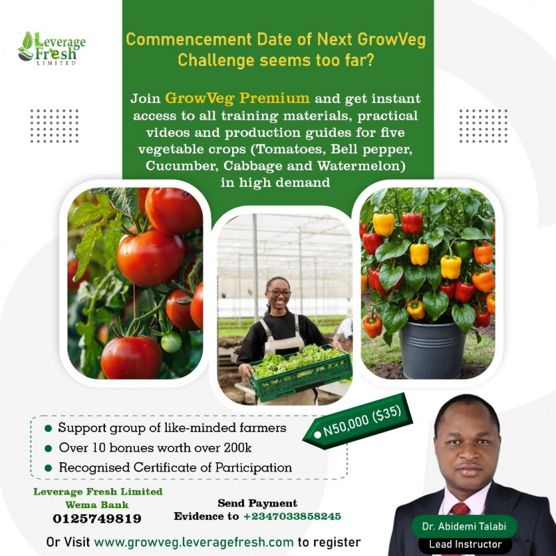 Buy GrowVeg Premium by Leverage Fresh on Selar