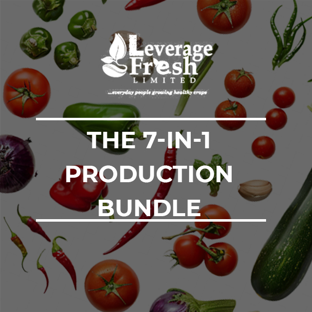 Buy THE 7-IN-1 PRODUCTION BUNDLE by Leverage Fresh on Selar