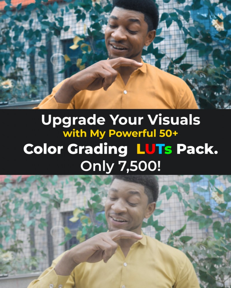 Buy Bright Fxzone Color Grading LUT Pack by Logo Factory Studio on Selar