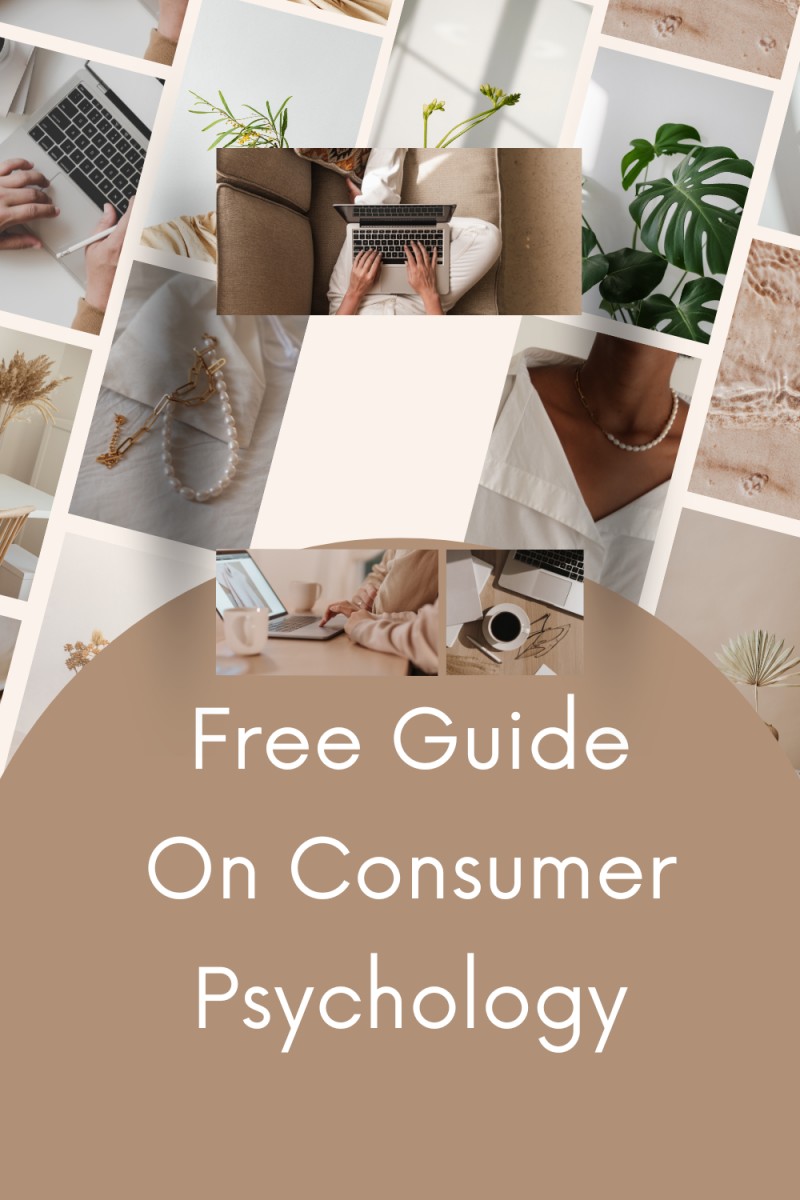 Buy Guide Book on Consumer Psychology/Behavior by Margaret Ndiritu on Selar