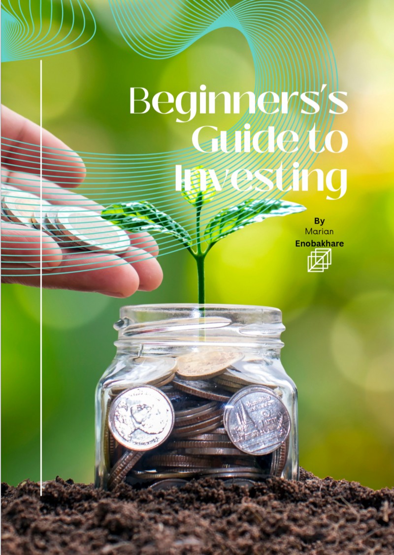 Get Beginner's Guide to Investing by Marian Enobakhare on Selar
