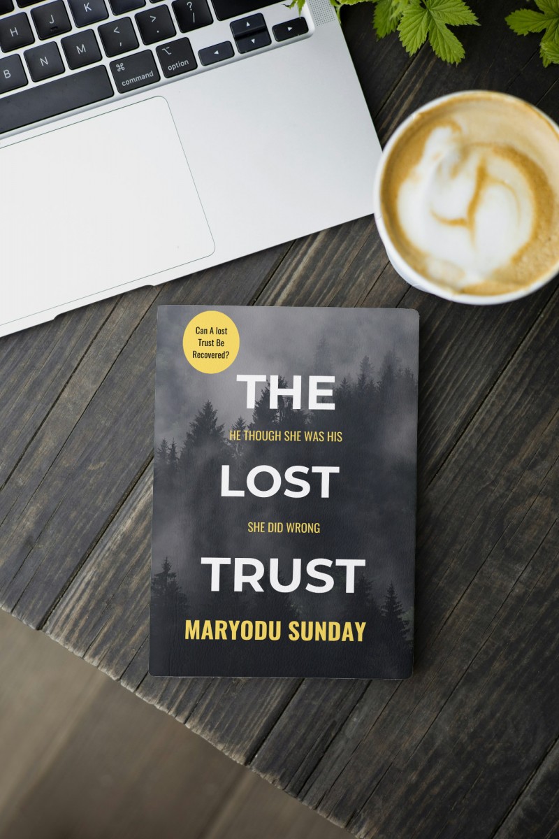 Buy The Lost Trust by Maryodu Sunday on Selar